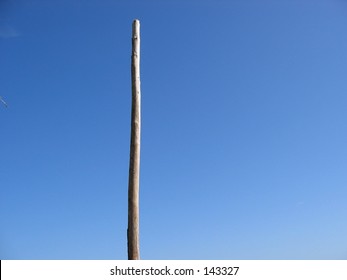 Branchless tree : 78 images, photos et images vectorielles de stock ...