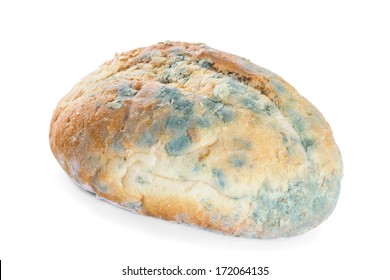 3,043 Bread mold texture Images, Stock Photos & Vectors | Shutterstock