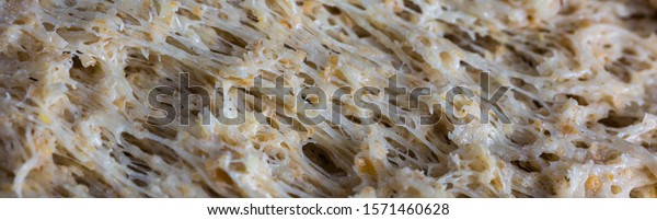 Bread Sourdough Batter Fermentation Process Conceptual Stock Photo ...