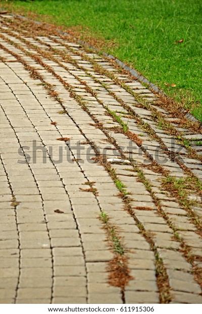 Brick Block Pathway Stock Photo 611915306 | Shutterstock
