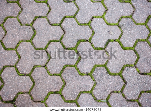 Brick Flooring Pattern Moss Stock Photo (Edit Now) 14078098