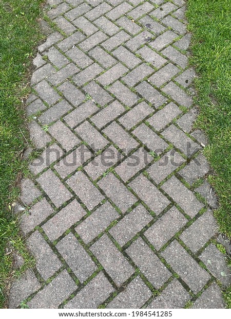 Brick Pavement Grass Between Bricks On Stock Photo 1984541285 ...