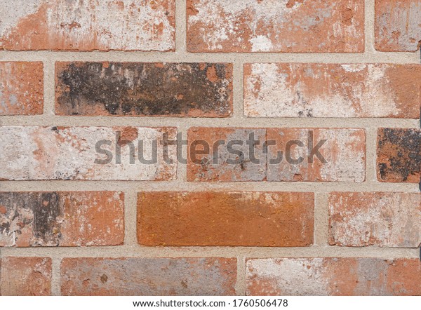Brick Texture Wall Tiles Elevation Background Stock Photo 1760506478 ...