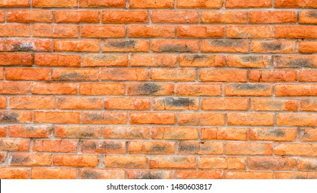 Brick Wall Texture Model Stock Photo 1480603817 | Shutterstock