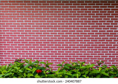 Brick Wall Texture Tree Brick Wall Stock Photo 240407887 | Shutterstock