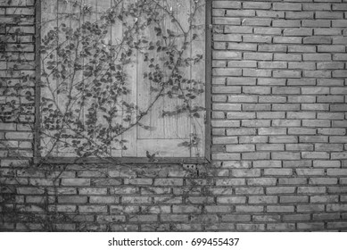 Bricks Bar Wall Background Loft Style Stock Photo 699455437 | Shutterstock