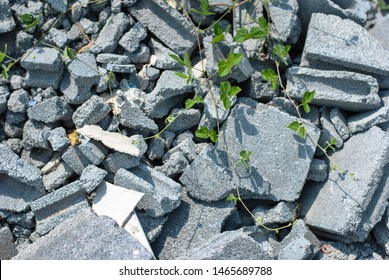 Bricks Garbage Tiles That Cannot Be Stock Photo 1465689788 | Shutterstock