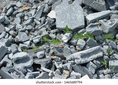 Bricks Garbage Tiles That Cannot Be Stock Photo 1465689794 | Shutterstock