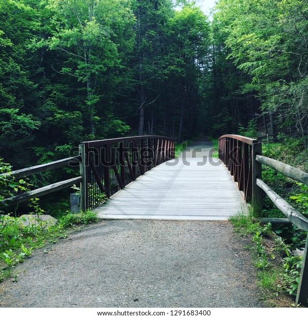 Bridge Over Path Stock Photo (Edit Now) 1291683400