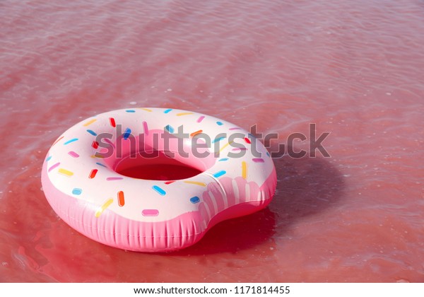 Bright Inflatable Ring Floating Pink Lake Stock Photo (Edit Now) 1171814455