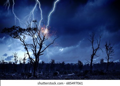 519 Lightning hitting tree Images, Stock Photos & Vectors | Shutterstock