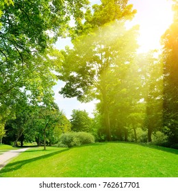 Bright Sunny Day Park Sun Rays Stock Photo (Edit Now) 693645001 Bright Sunny Day Park Sun Rays Stock Photo (Edit Now) 693645001