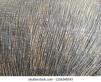 Bright Texture Backgrounds Stock Photo 1256348593 | Shutterstock