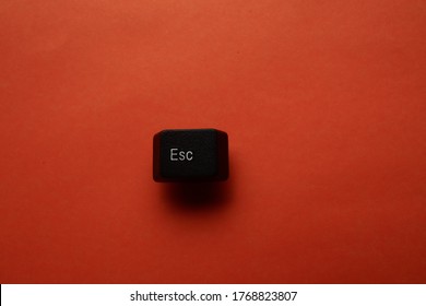 31,809 Cartoon Keyboard Images, Stock Photos & Vectors | Shutterstock