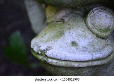 100 Grey Frog Statue Images, Stock Photos & Vectors | Shutterstock