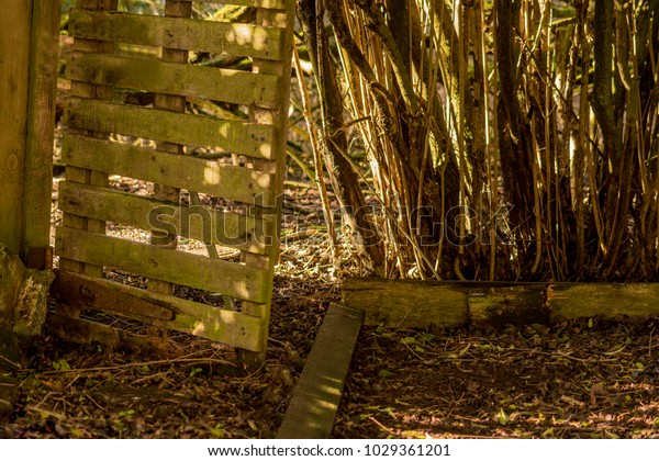Broken Broken Gate Hinge Rusting Hinge Stock Photo 1029361201 ...