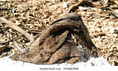 7,928 imágenes de Broken glove - Imágenes, fotos y vectores de stock ...