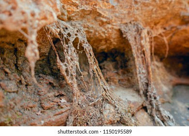 Broken Ground Surface Texture Soil Landslide Stock Photo 1150195589 ...