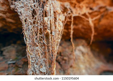Broken Ground Surface Texture Soil Landslide Stock Photo 1150195604 ...