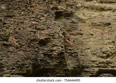 Broken Rock Texture Background Stock Photo 754644490 | Shutterstock