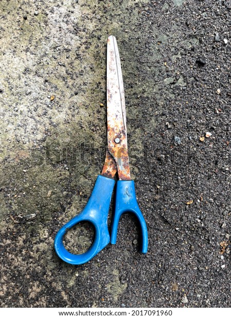 Broken Scissors Lying On Ground Stock Photo 2017091960 | Shutterstock