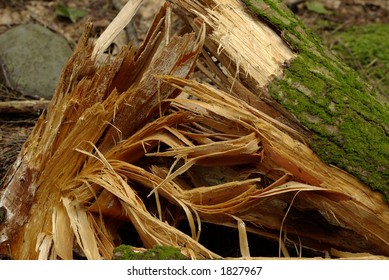 7,394 Snapping wood 이미지, 스톡 사진 및 벡터 | Shutterstock