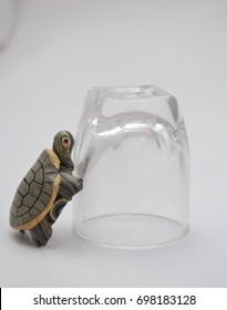 Broken Turtle Toy Stock Photo 698183128 | Shutterstock