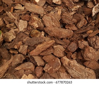 1,067 Chunks of tree bark Images, Stock Photos & Vectors | Shutterstock