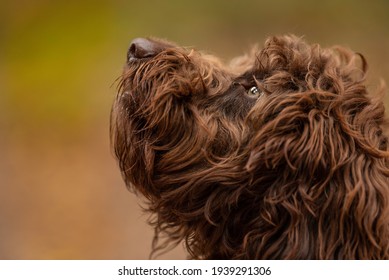 Stock Photo and Image Portfolio by StephanieWarnePhoto | Shutterstock