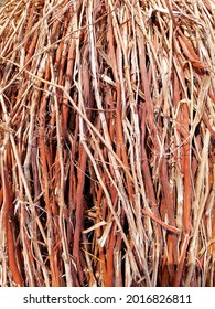 Brown Coconut Tree Root Texture Background Stock Photo 2016826811 ...