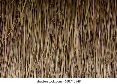 Brown Grass Texture Background Stock Photo 668743549 | Shutterstock