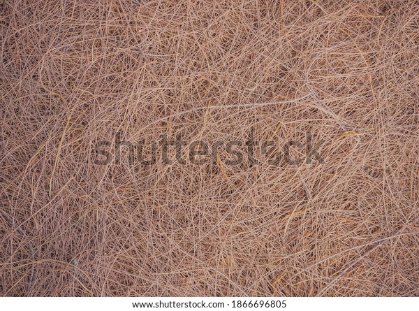 Brown Grass Texture Background View Brown Stock Photo 1866696805 ...