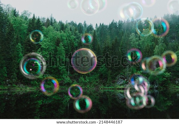 Bubble Soap Top View Landscape Nature Stock Photo 2148446187 | Shutterstock