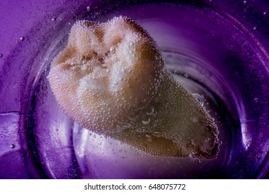 Bubble Tooth Stock Photo 648075772 | Shutterstock