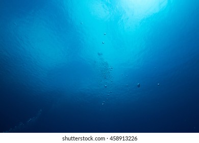 Bunutan Images, Stock Photos & Vectors | Shutterstock