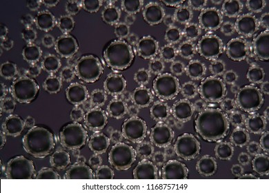 Bubbles Beer Foam Under Microscope Polarized Stock Photo 1168757149 ...