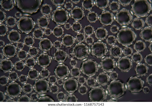 Bubbles Beer Foam Under Microscope Polarized Stock Photo 1168757143 ...