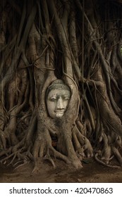 Buddha Face Tree Stock Photo (Edit Now) 420470863