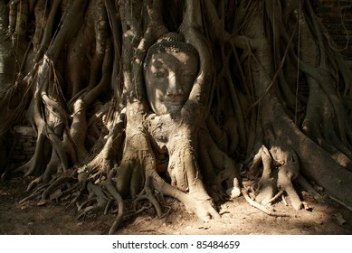 20 Root of the holy ghost Images, Stock Photos & Vectors | Shutterstock