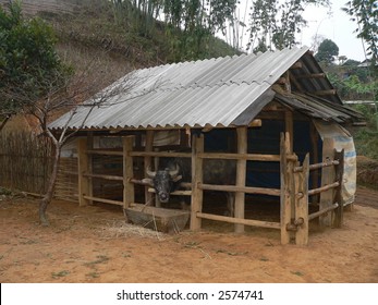 Buffalo Cage Stock Photo 2574741 | Shutterstock