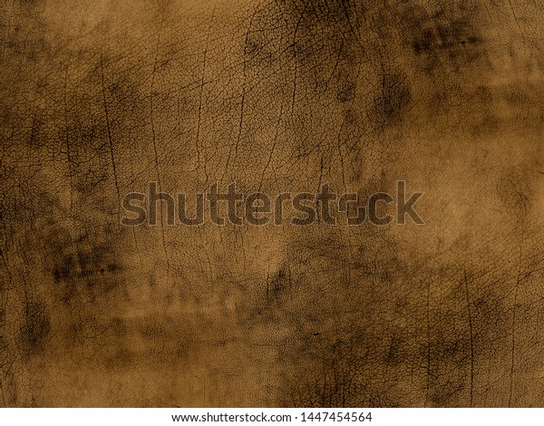 Buffalo Leather Texture Background Surface Stock Photo 1447454564 ...