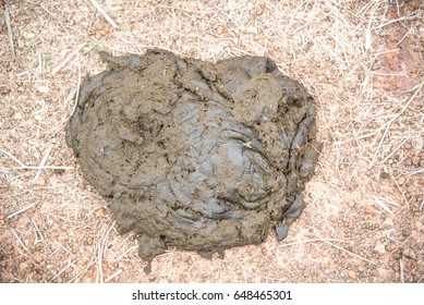 95 Buffalo stool Images, Stock Photos & Vectors | Shutterstock