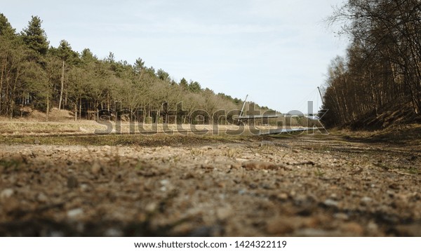 Bug View Over Trees Landscape Stock Photo 1424322119 | Shutterstock
