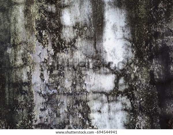 Building Defect Damage Wall Paint Stock Photo 694544941 | Shutterstock
