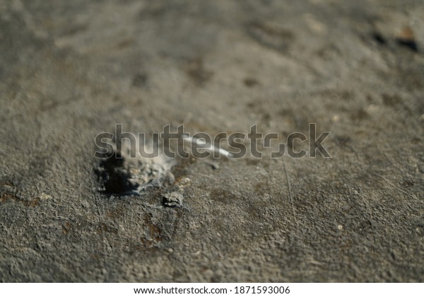 Building Ground Background Floor Focus Texture Stock Photo 1871593006 ...