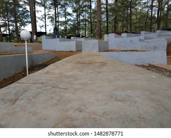 Building Middle Pine Tree Stock Photo 1482878771 | Shutterstock