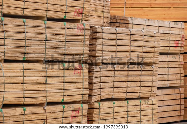 Building Timber Piled Material Storage Area Stock Photo 1997395013 ...