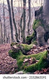 9,985 Bumpy ground Images, Stock Photos & Vectors | Shutterstock