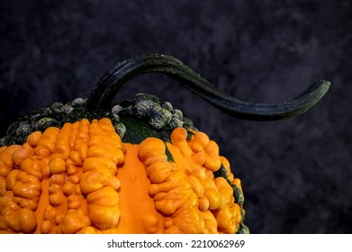 3,473 Bumpy Vegetable Images, Stock Photos & Vectors | Shutterstock