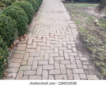 Bumpy Red Brick Sidewalk Tree Roots Stock Photo 1284510529 | Shutterstock